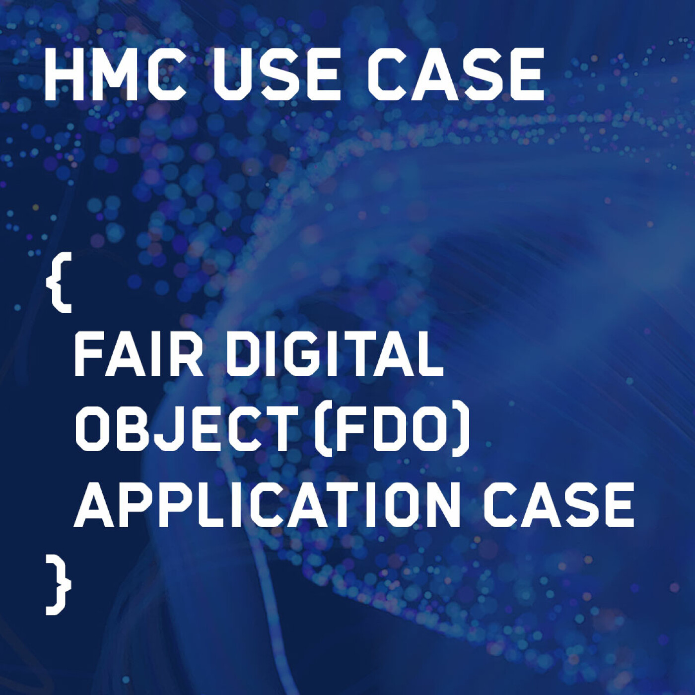 HMC Use Case: FAIR Digital Object Application Case