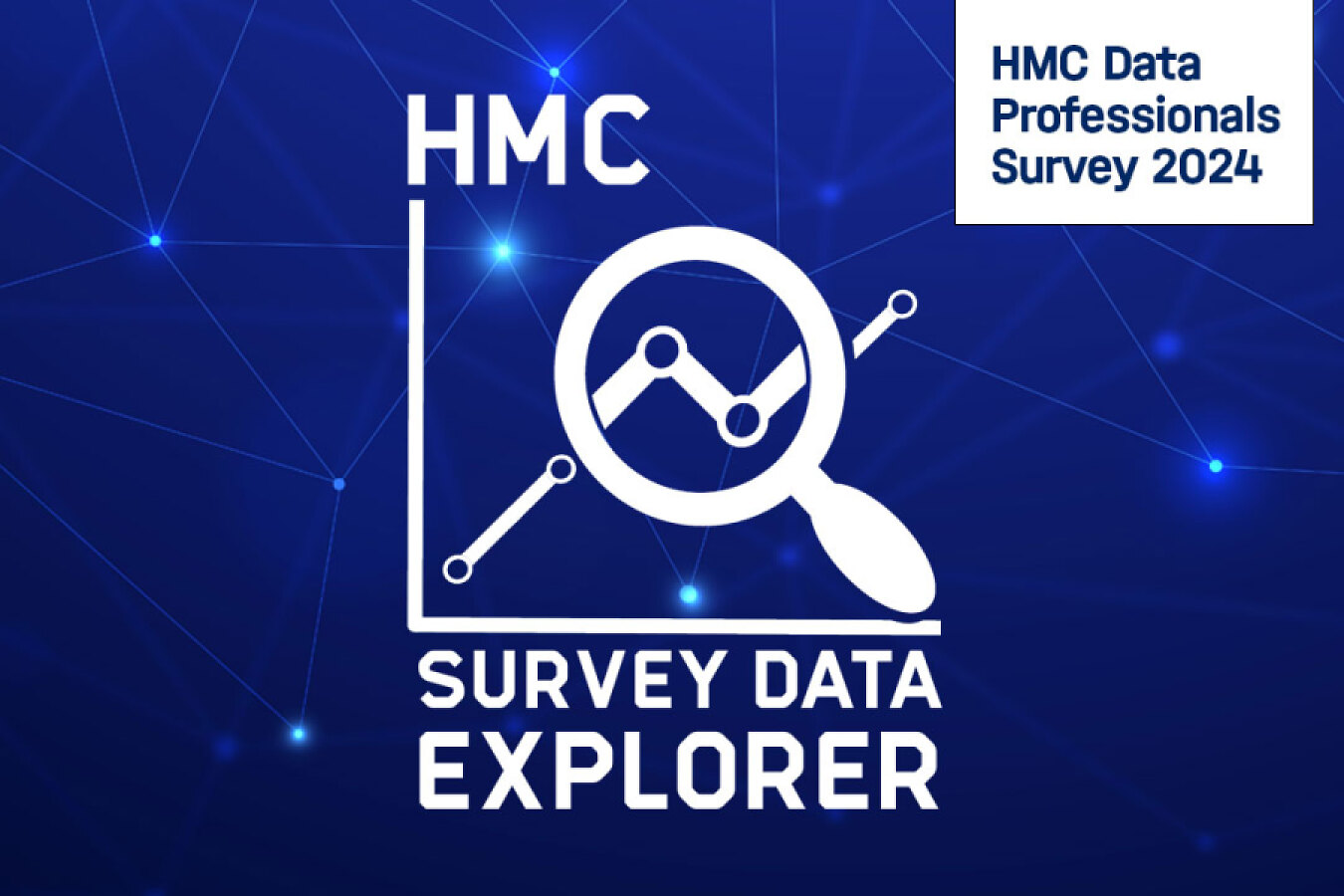 HMC Data Professionals Survey 2024
